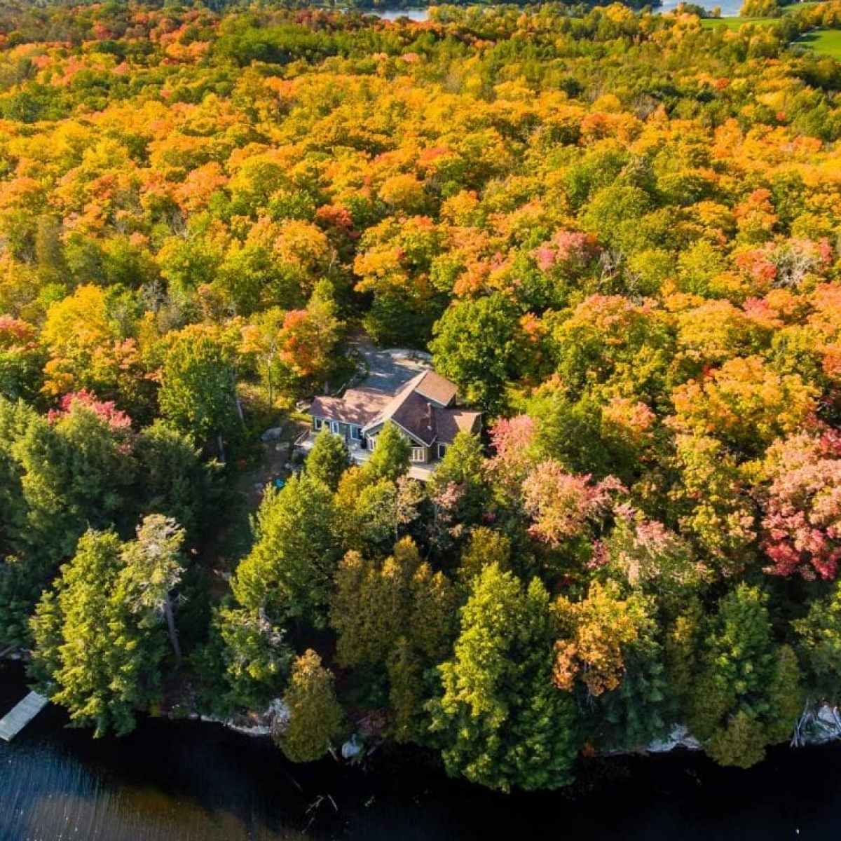 Aerial – Visual Advantage